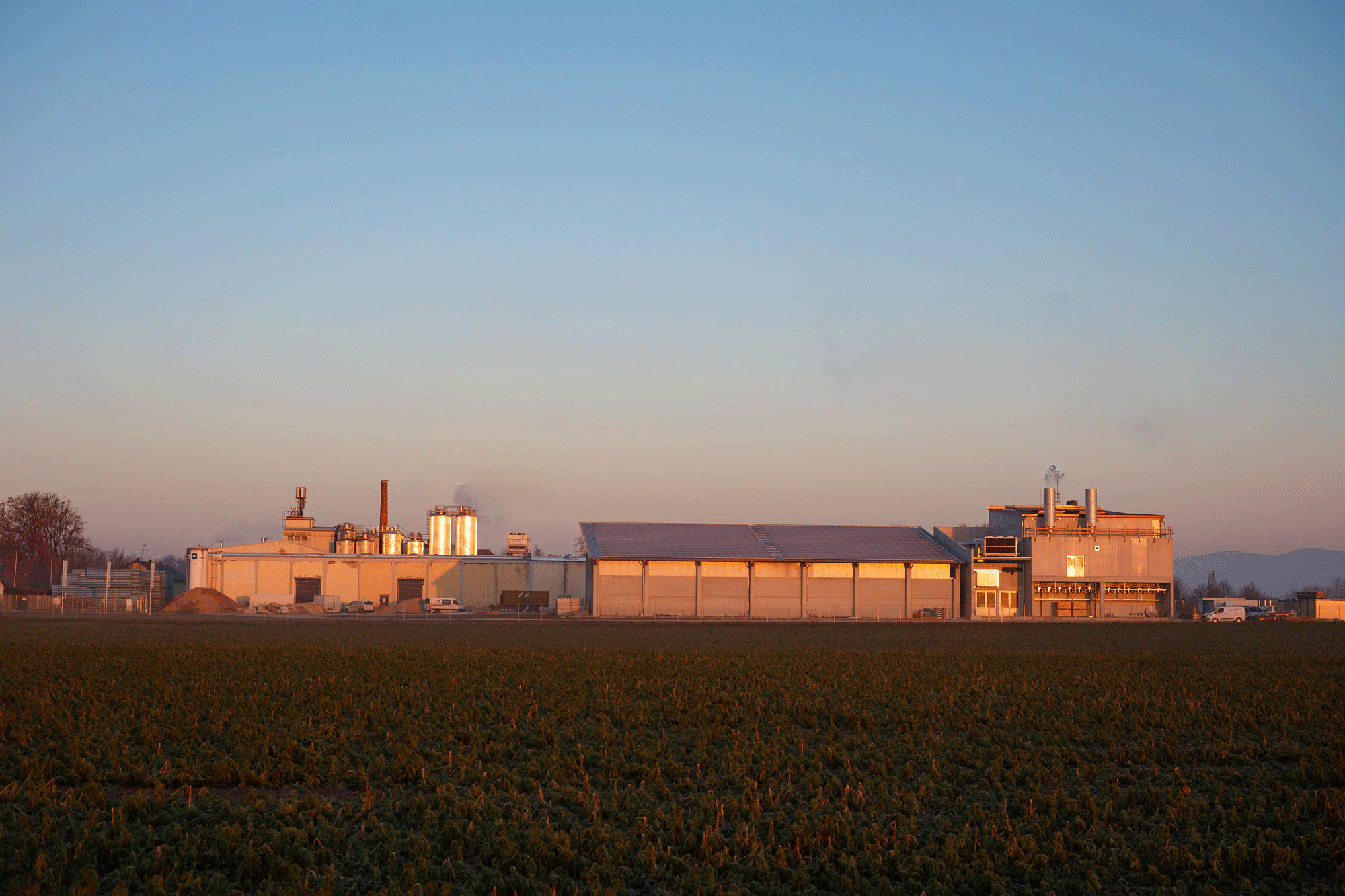 MOOS / DE - Syncraft